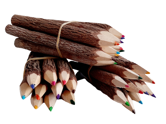Natural Wooden Bush Pencils Mixed Colour (pack of 10) – The Elephant Shop